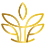 Yoga Classes & Workshops | Yoga teacher, trainer & coach based in Sligo ...